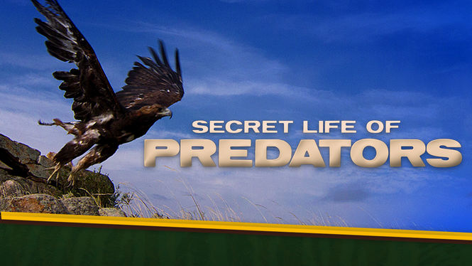 Is 'Secret Life of Predators' on Netflix? Where to Watch the ...